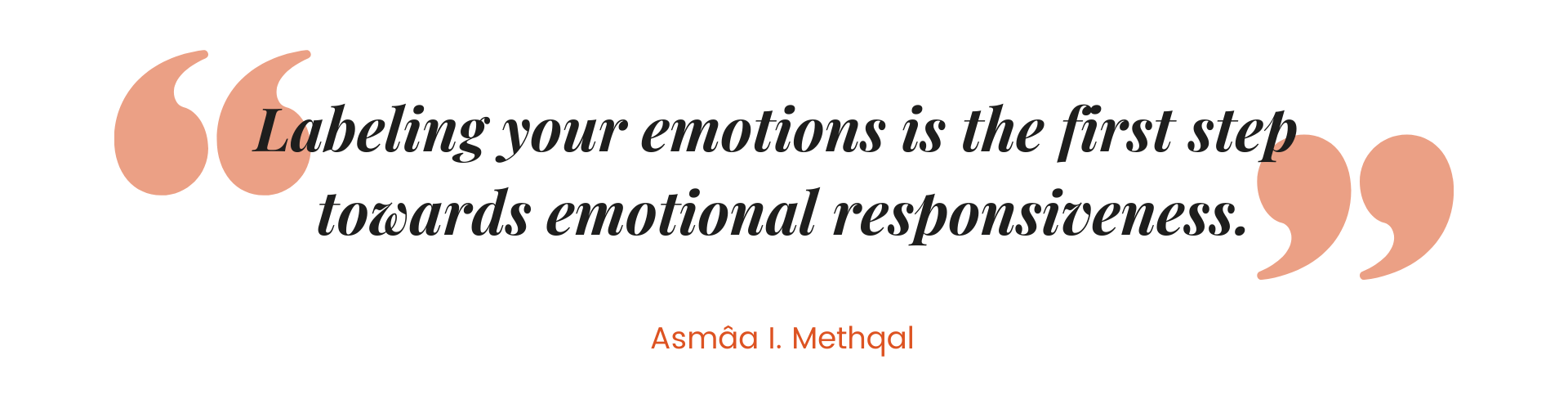 Label Your Emotions Like a Pro | Fire and Flow Academy